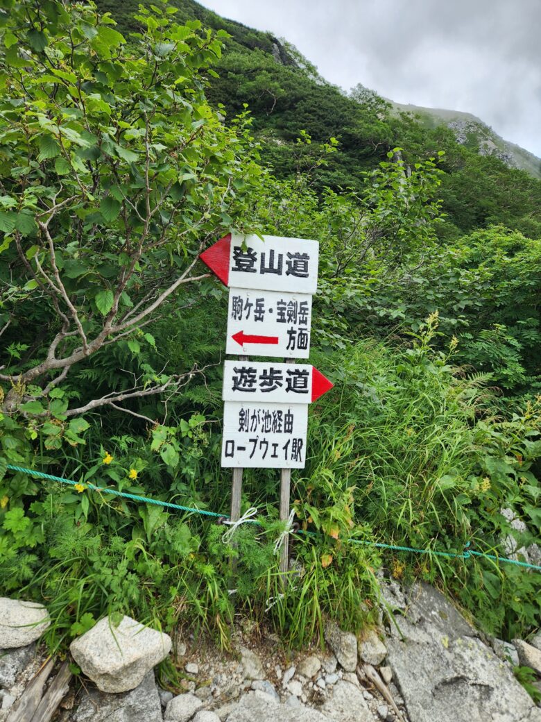 中央アルプスの最高峰！千畳敷カールから2時間で2956m木曽駒ヶ岳へ！！ | ウケメンのアウターヘイブン